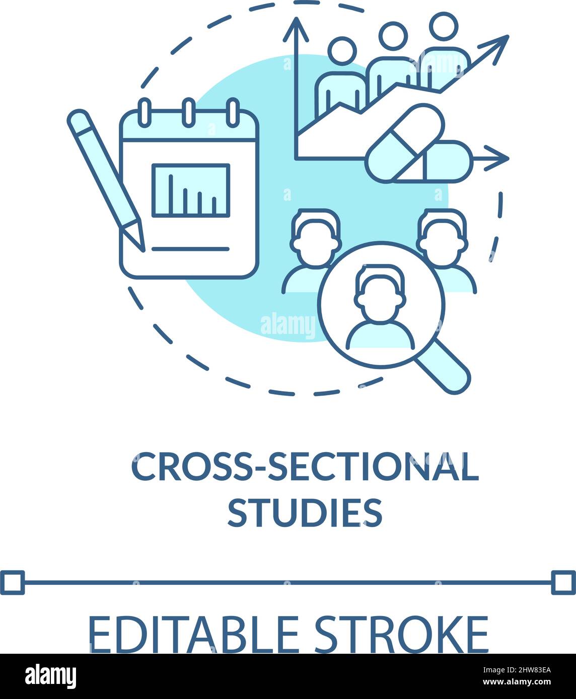 Sectional studies hi-res stock photography and images - Alamy