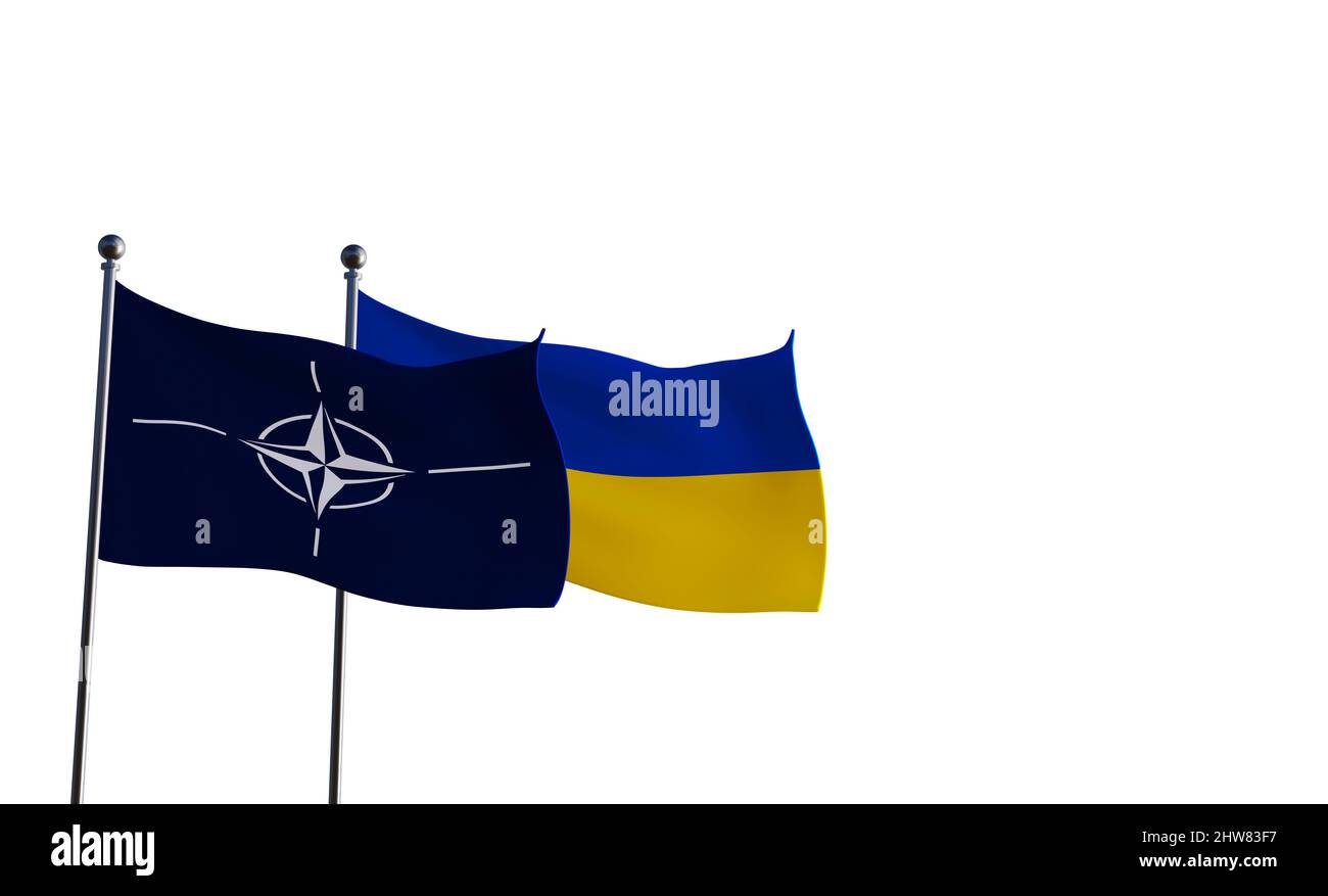Flags Ukraine and NATO, isolated on white background. 3D work and 3D ...