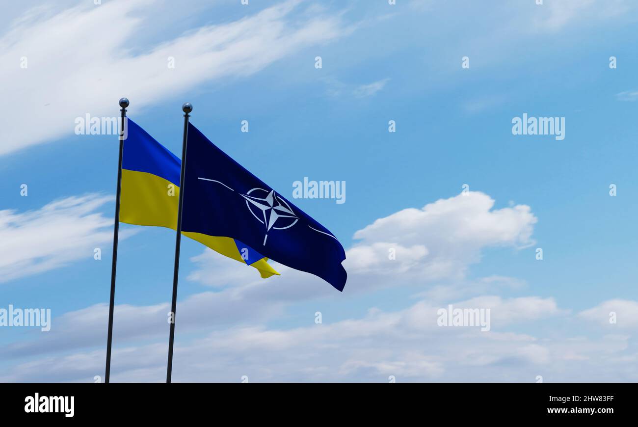 Flags Ukraine and NATO, isolated on white background. 3D work and 3D ...