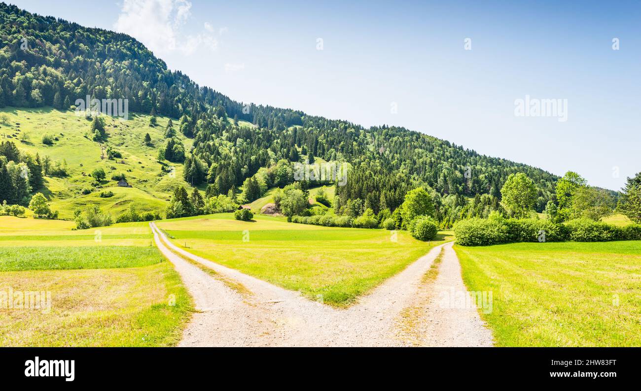 Two paths fork forest hi-res stock photography and images - Alamy