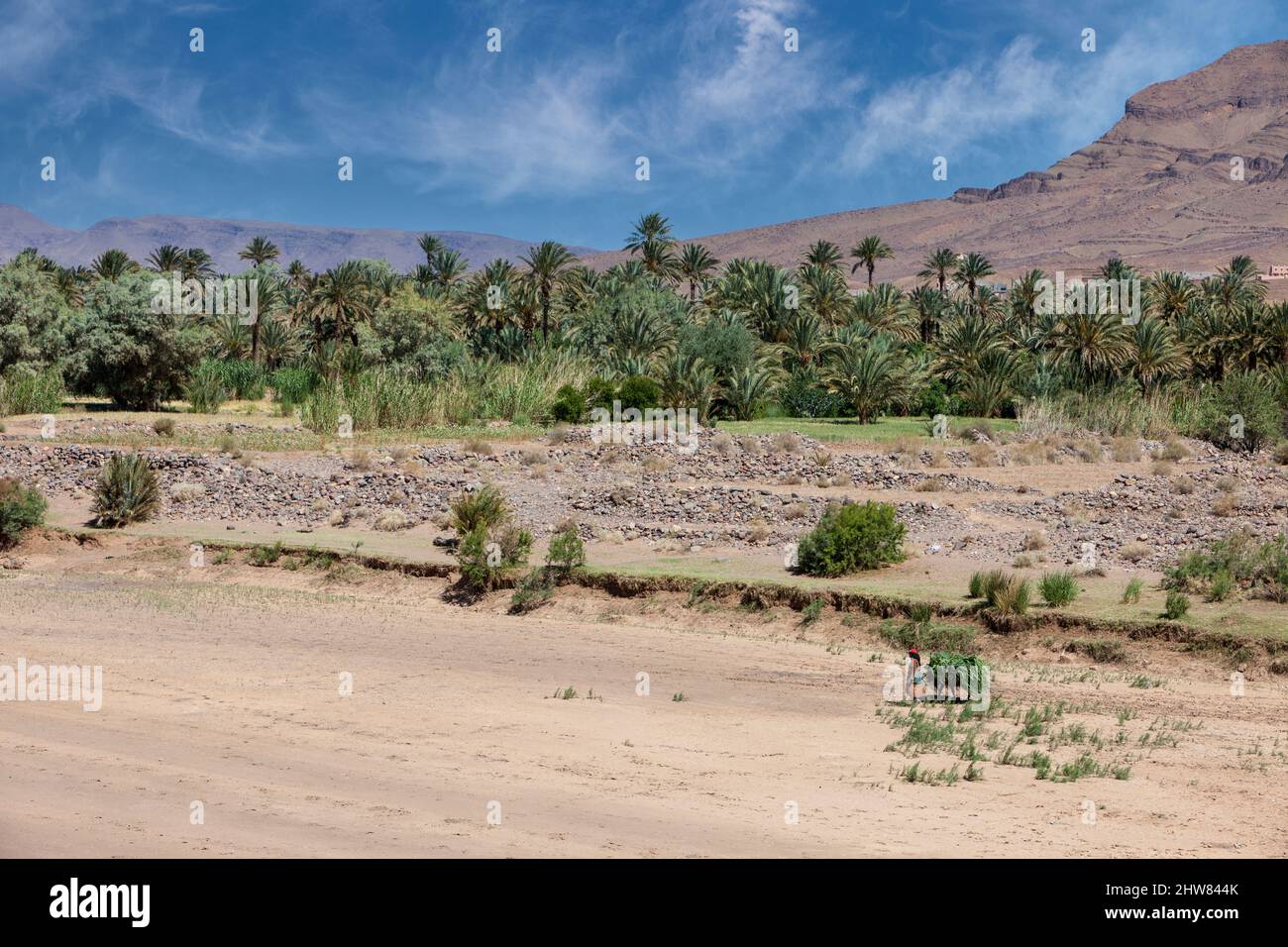 Draa River Valley Scene, Morocco Stock Photo - Alamy