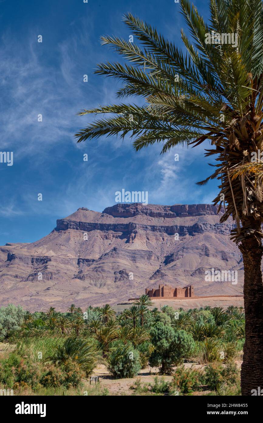 Draa River Valley Scene, Morocco. Ksar (Kasbah) Tamnougalt, near Agdz ...