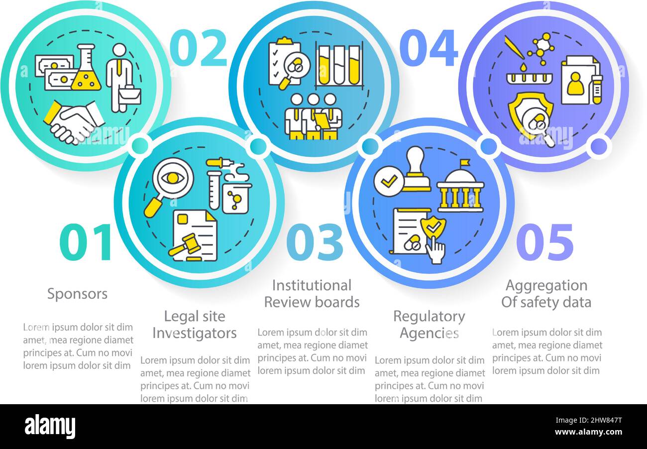 Safety circle infographic template Stock Vector Image & Art - Alamy