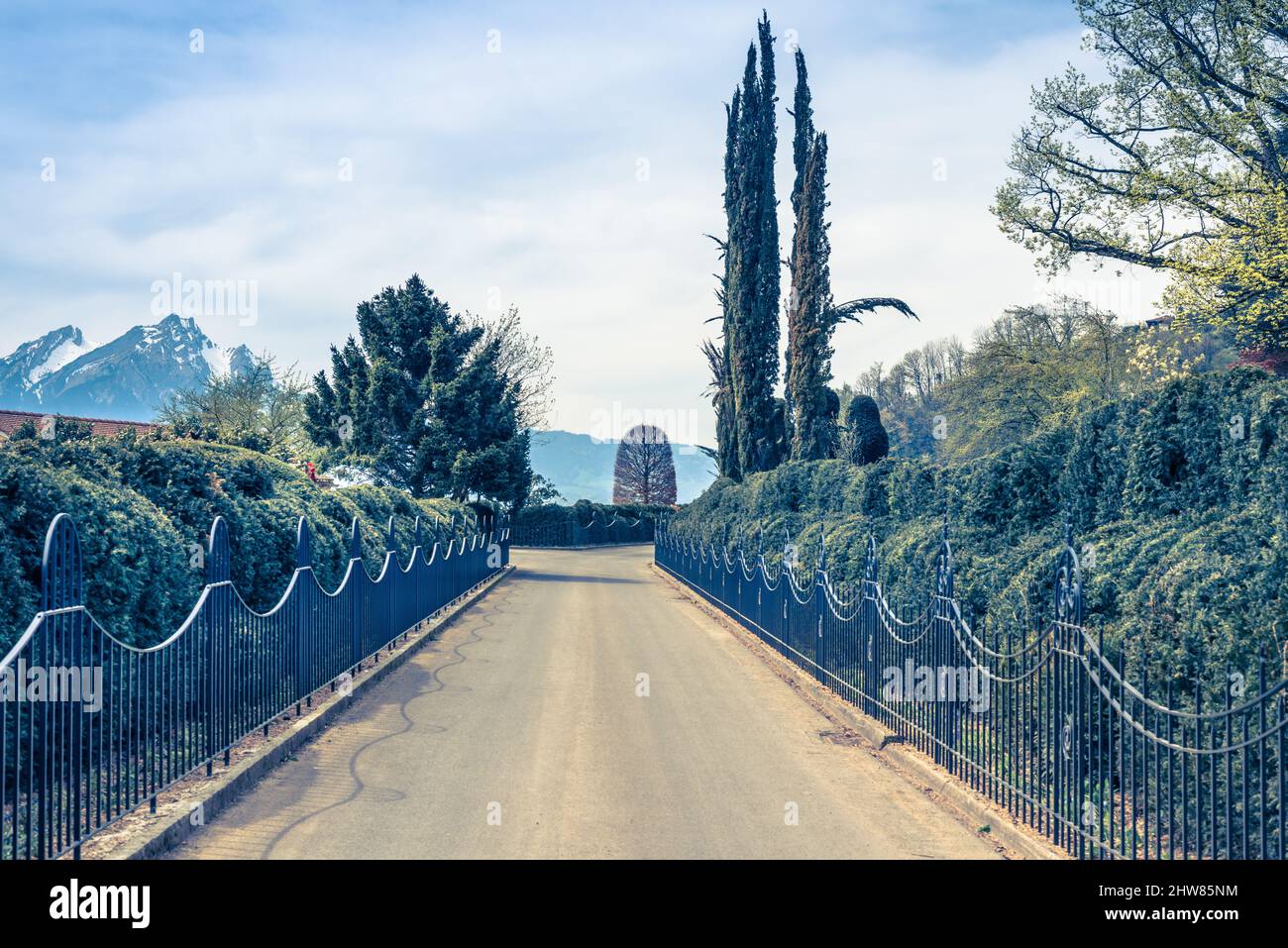 Alley with iron fence and cypresses Stock Photo - Alamy