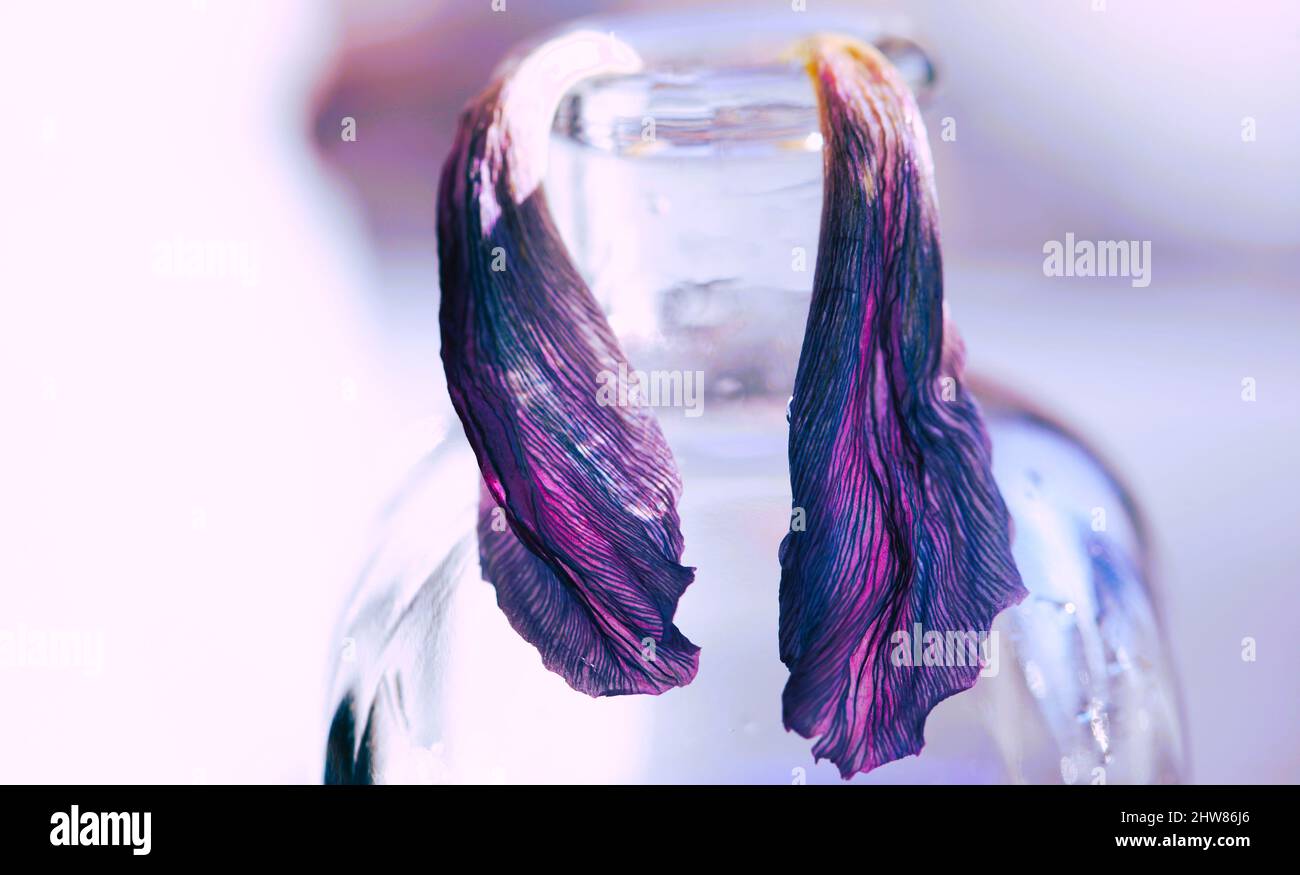 Close-up of a clear glass bottle covered in water droplets with two ...