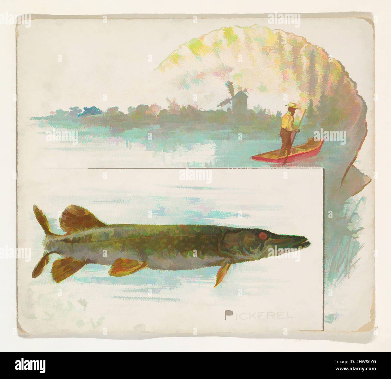 Pickerel fish hi-res stock photography and images - Alamy