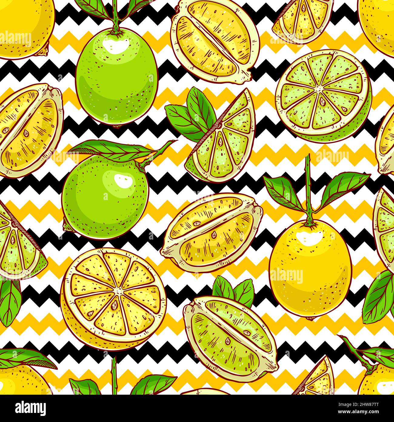 lemons and limes background. Vector hand drawn seamless pattern Stock Vector Image & Art - Alamy