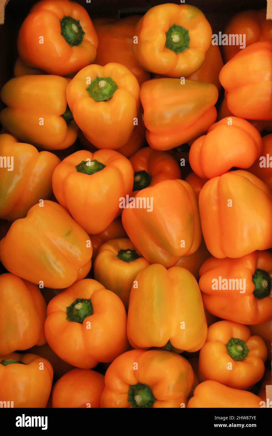 Fresh green chilli hi-res stock photography and images - Alamy