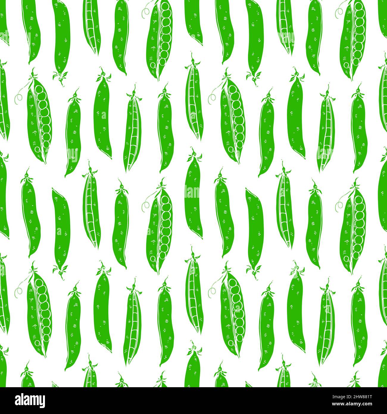 Cute seamless background of ripe fresh peas. Hand-drawn illustration ...