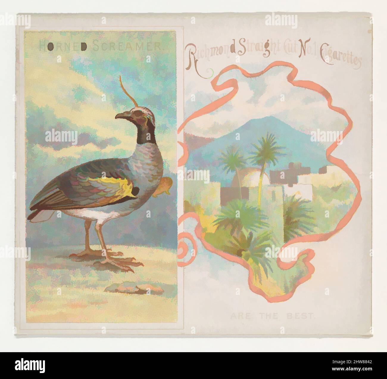 Art inspired by Horned Screamer, from Birds of the Tropics series (N38 ...