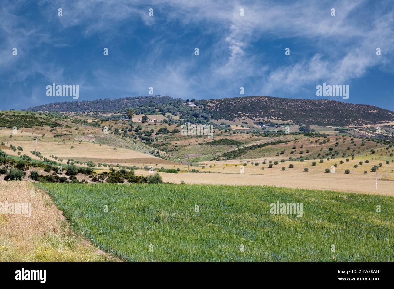 Rif morocco hi-res stock photography and images - Alamy