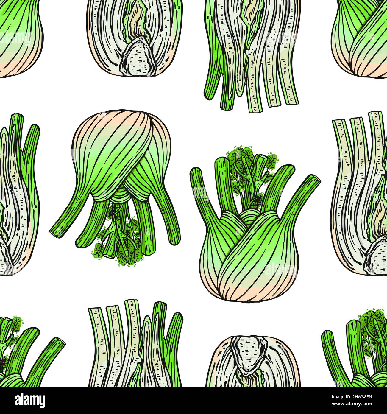 cute seamless background of ripe fennel. hand-drawn illustration Stock ...