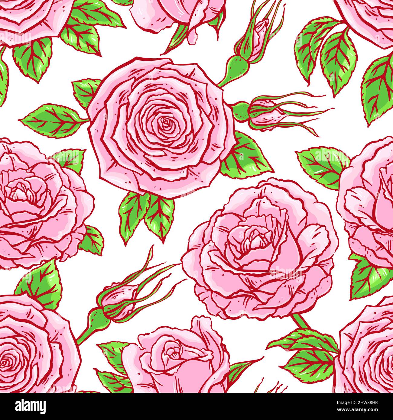 beautiful colorful seamless background of pink roses on a white ...