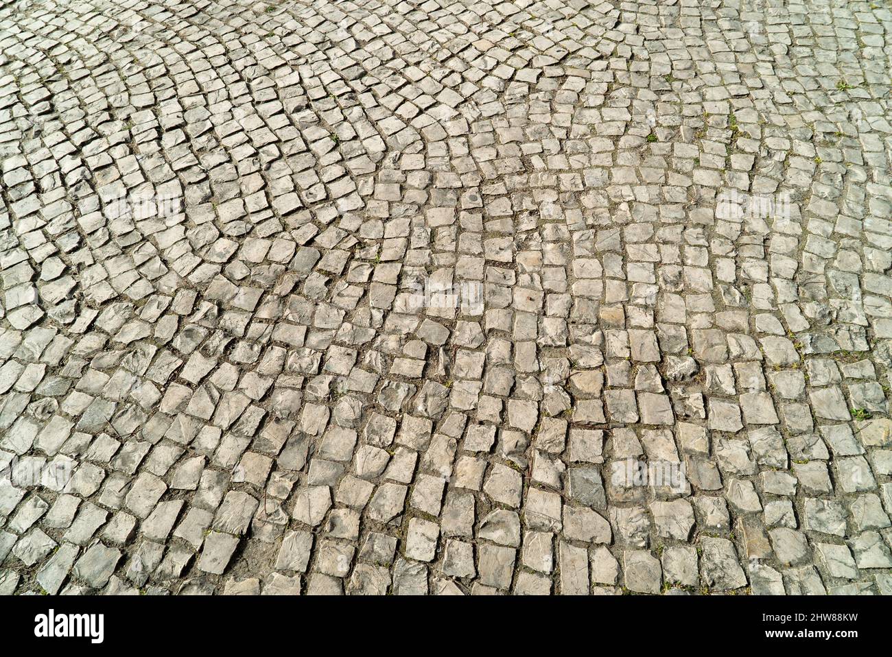 Pathway from uneven rows of cobblestones in the street Stock Photo - Alamy