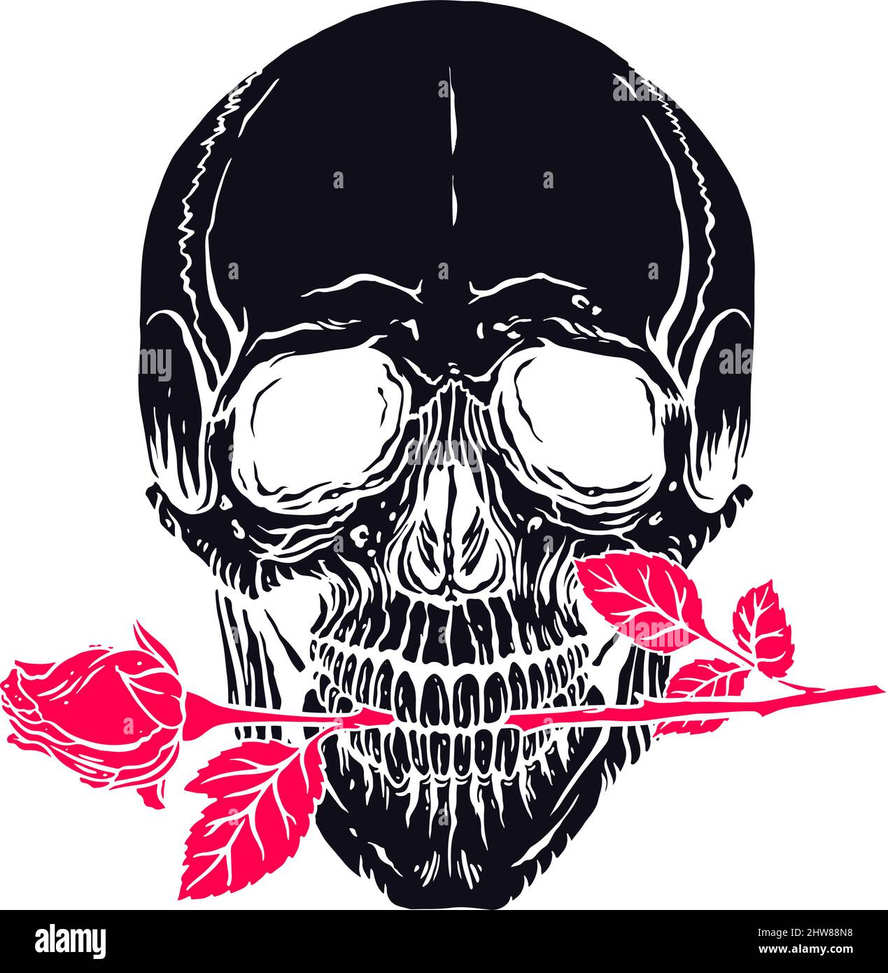 hand drawn illustration of anatomy human skull with a rose in his mouth ...