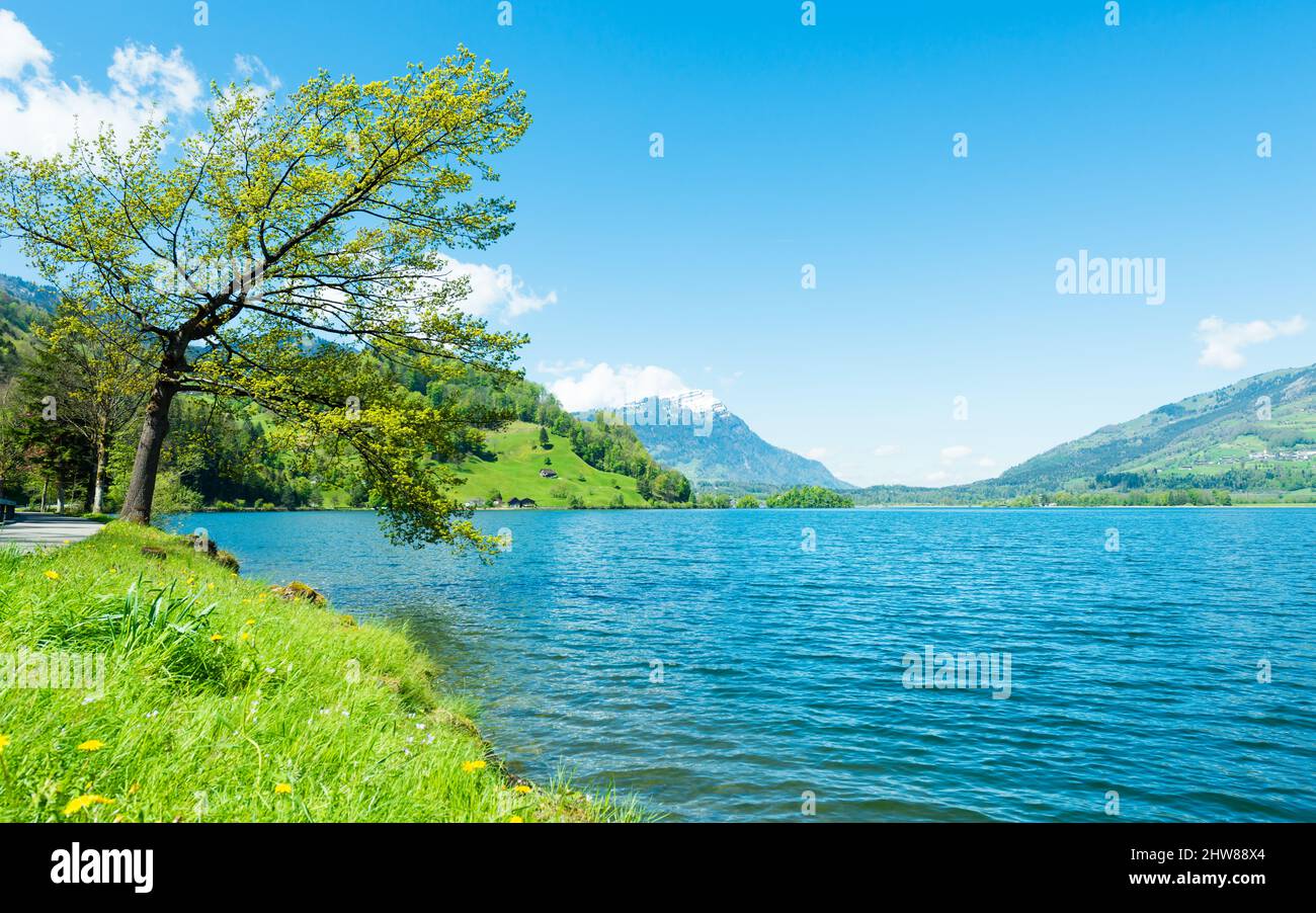 Lake Lauerz. Top of the mountain of Rigi in the snow. Summer day, clear ...