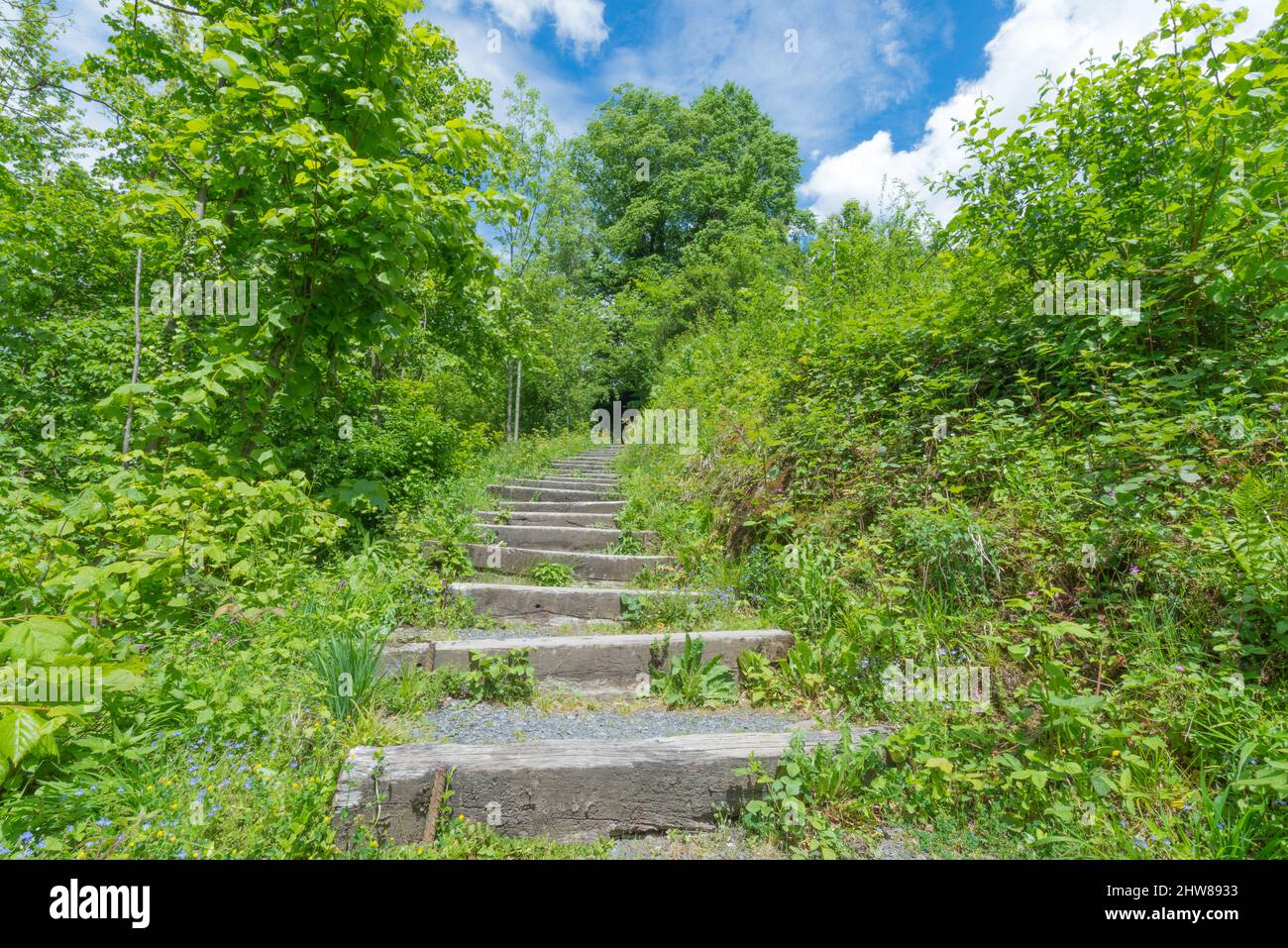 Summer road trip. Walk in the Alps. A staircase leads along the path ...