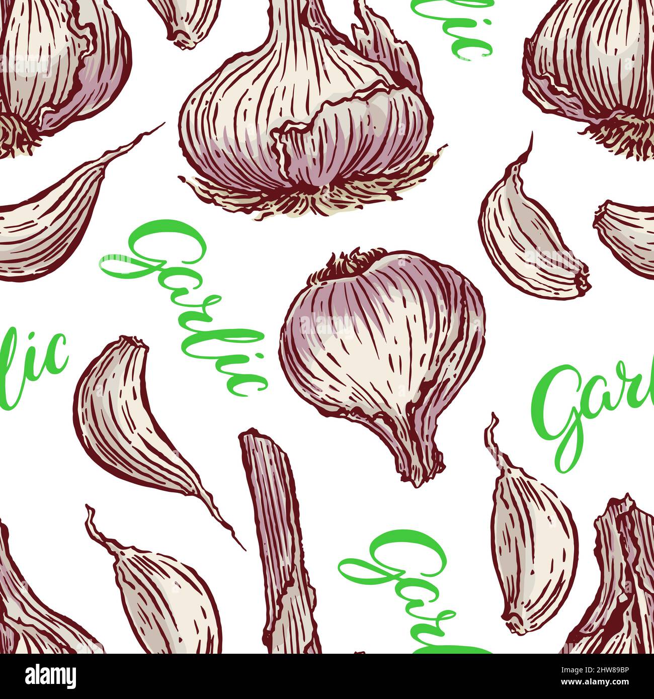 seamless background of Garlic on a white background. hand-drawn ...