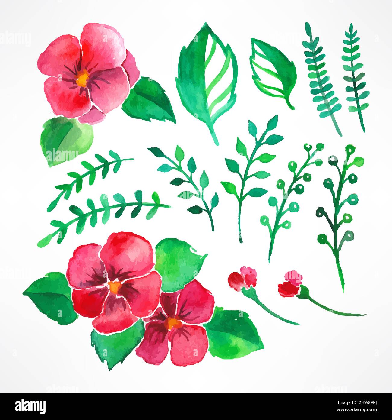 Set Of Beautiful Watercolor Pink Flowers And Leaves Hand Drawn