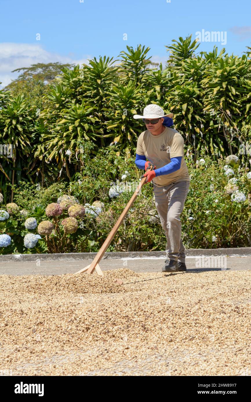 Coffee factory south america hi-res stock photography and images - Alamy