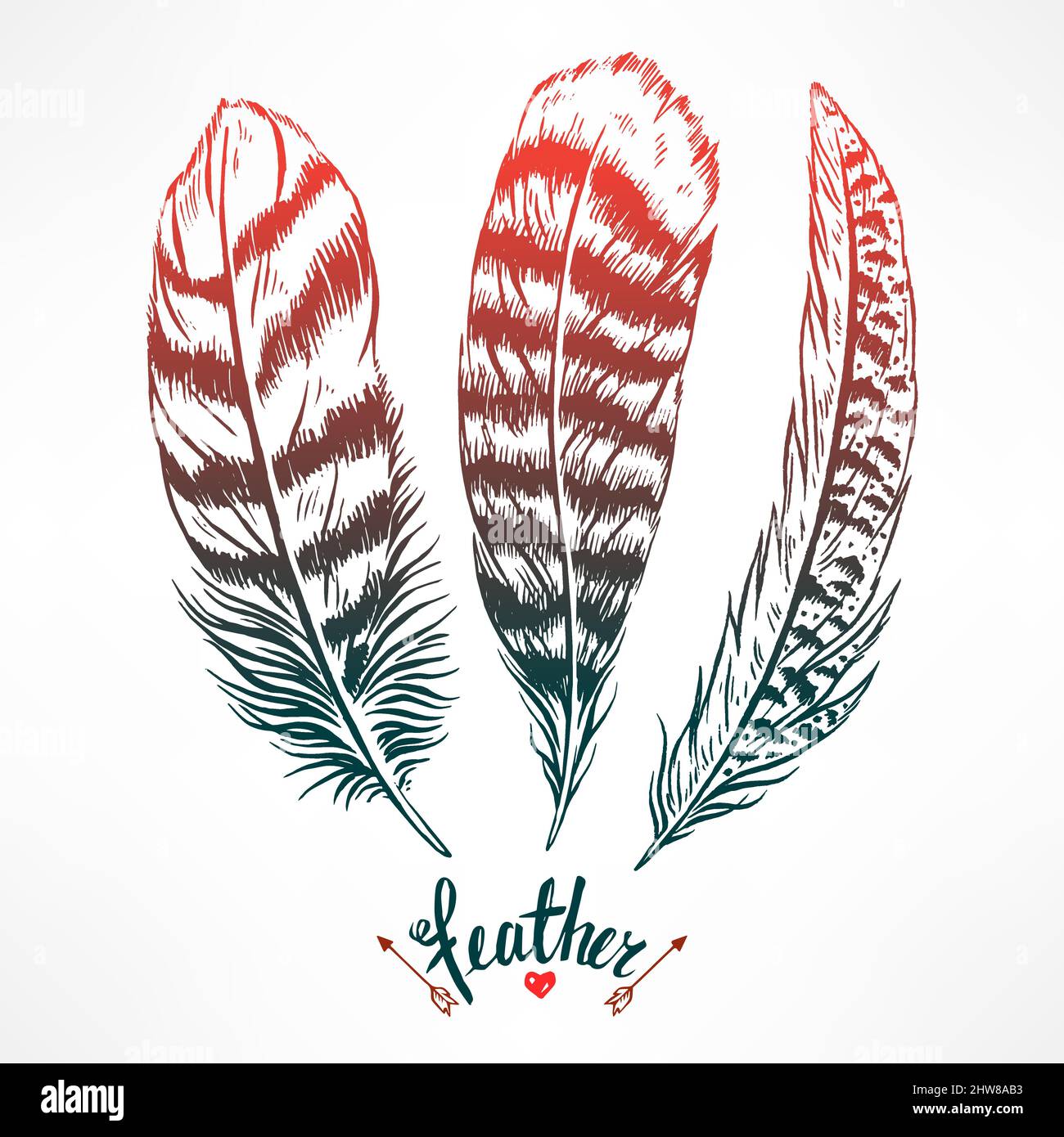 Three feather plume Stock Vector Images - Alamy