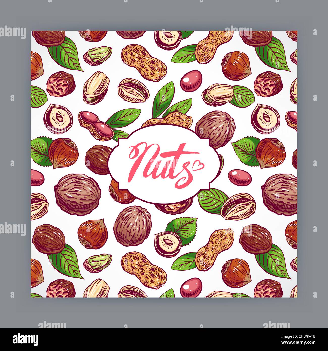 cute card with nuts and leaves. hand-drawn illustration Stock Vector ...