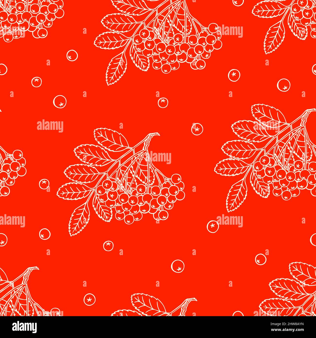 Rowan tree berries Stock Vector Images - Alamy