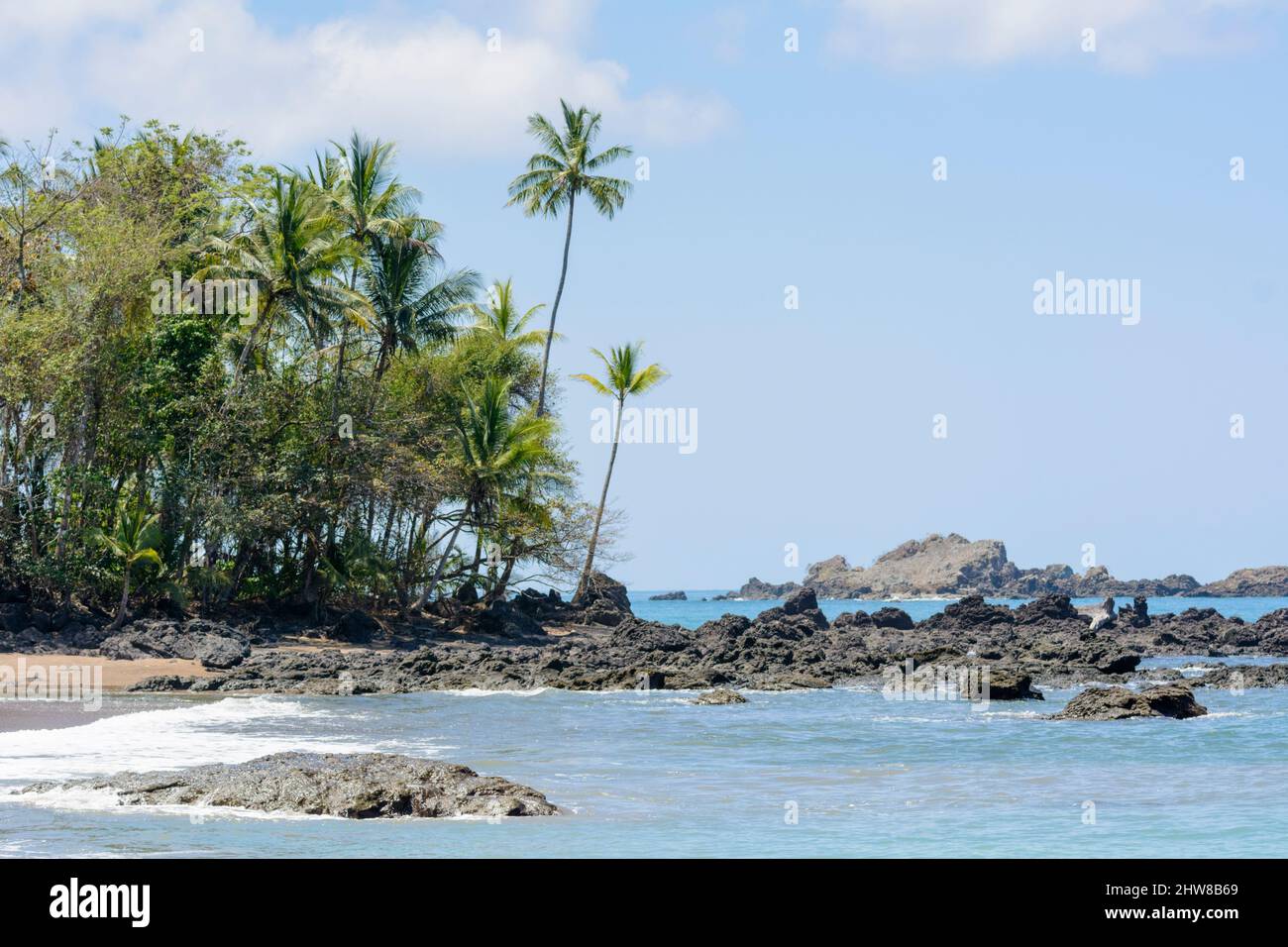 Palm-fringed rocky beach in the Corcovado National Park, Osa Peninsula, Costa Rica, Central ...