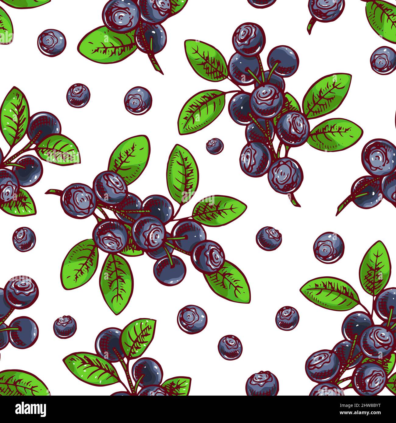 Whortleberry background Stock Vector Images - Alamy