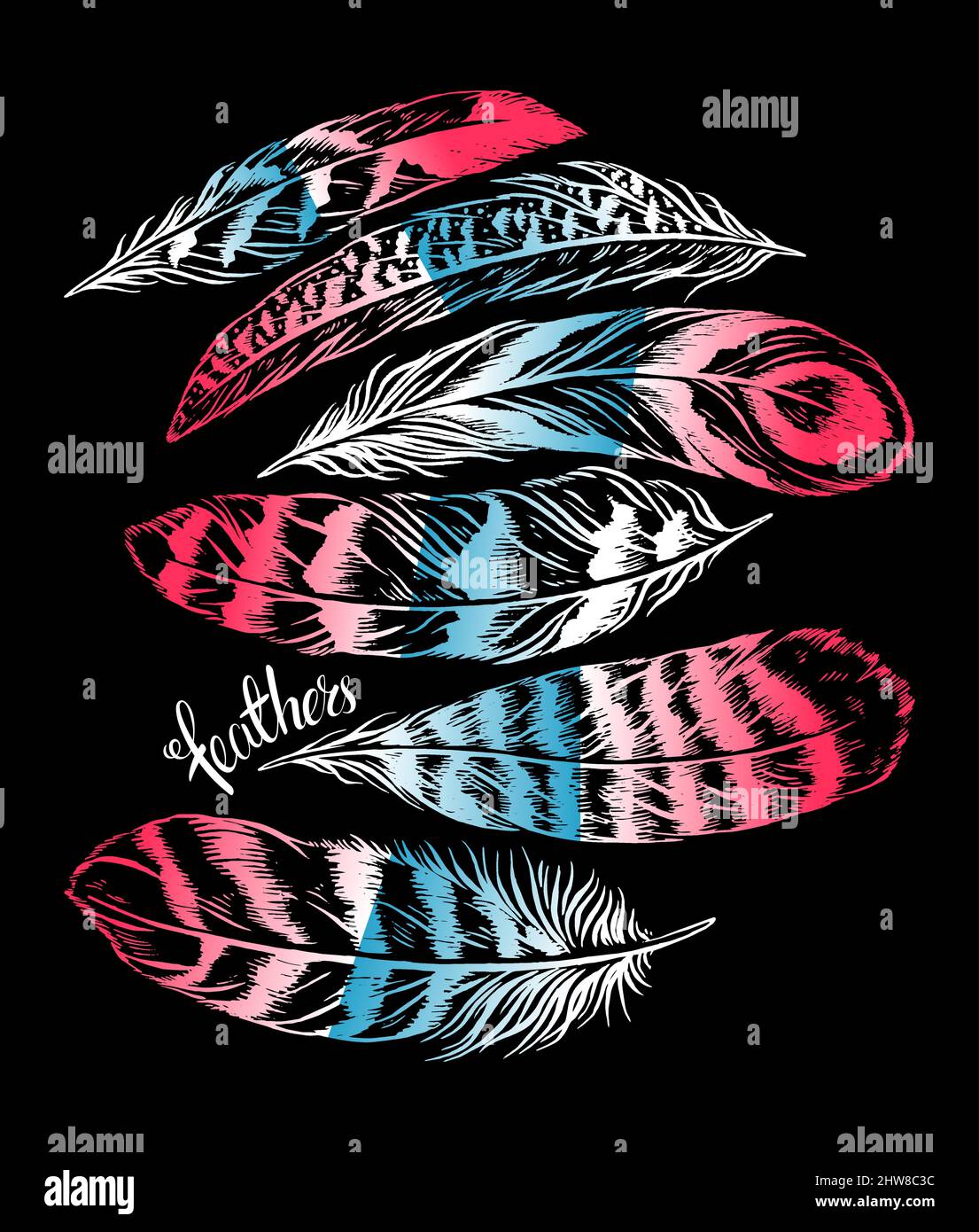 Set of different beautiful feathers. hand-drawn illustration Stock ...