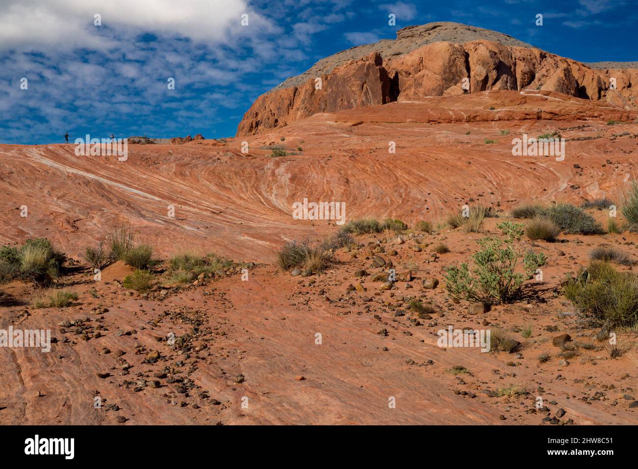 Valley of Fire, Nevada. The Fire Wave Stock Photo - Alamy