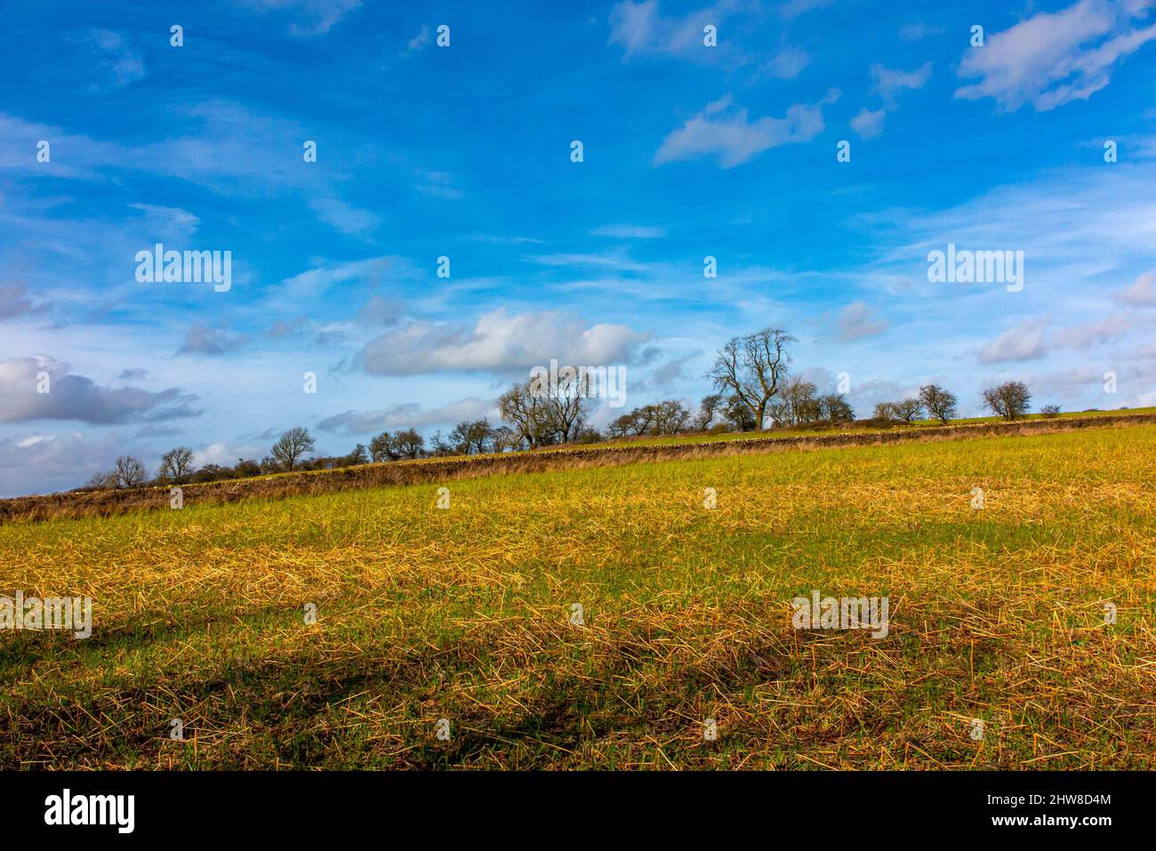 Spring sunshine in a typical Cotswolds landscape at Bredon Hill near ...