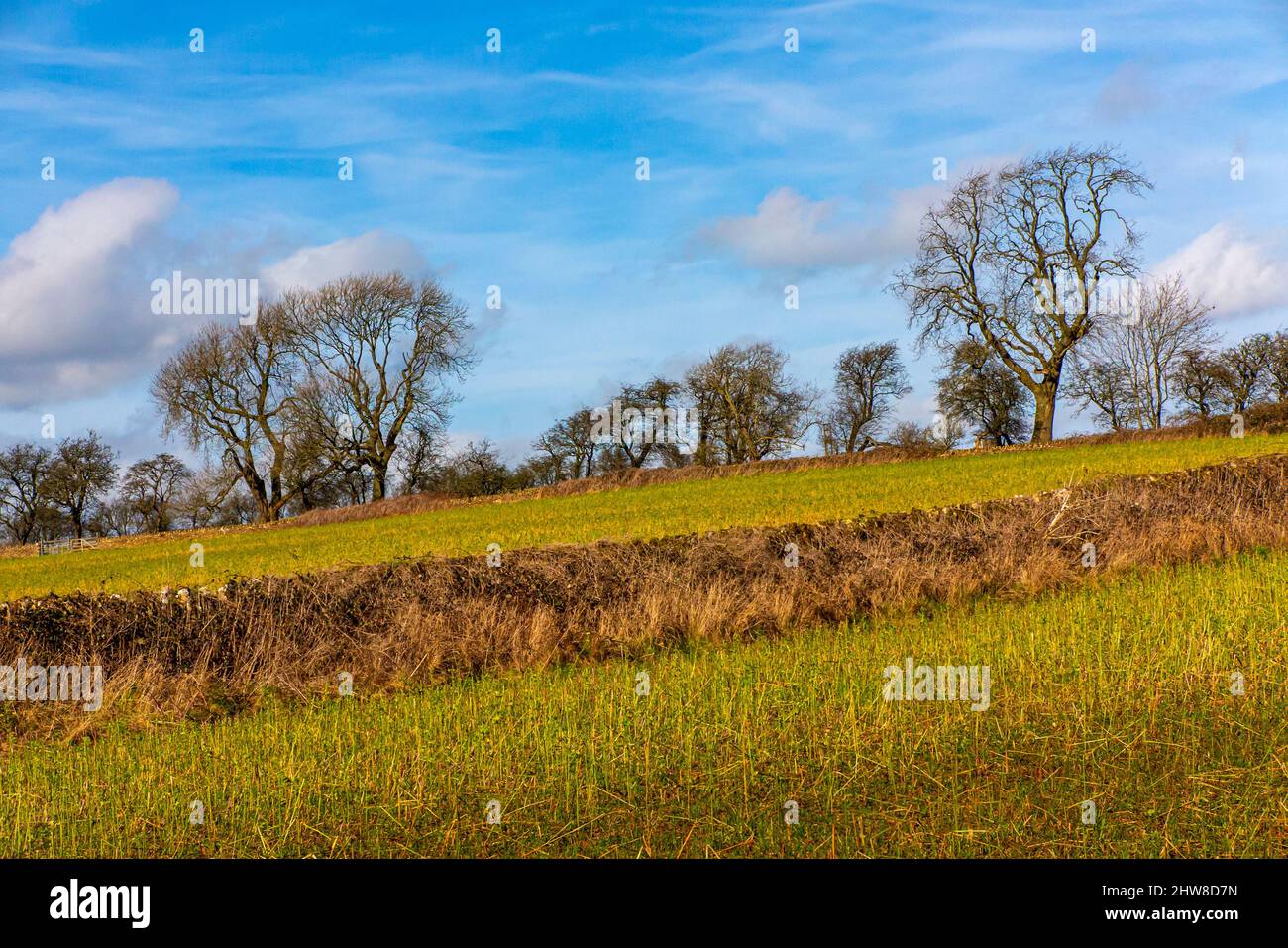 Spring sunshine in a typical Cotswolds landscape at Bredon Hill near ...