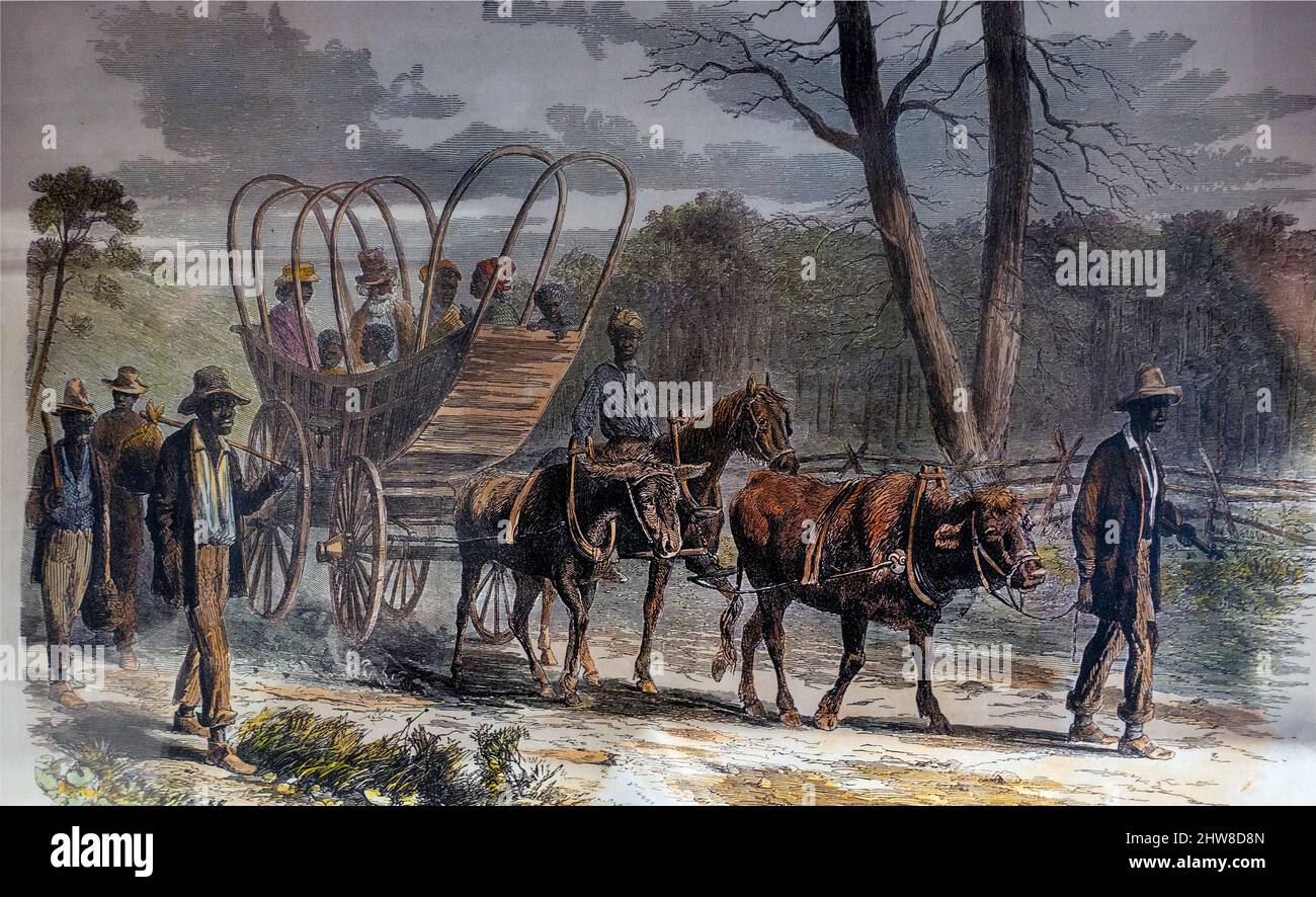 contraband slaves in a wagon going to Fort Monroe a safe haven for them ...