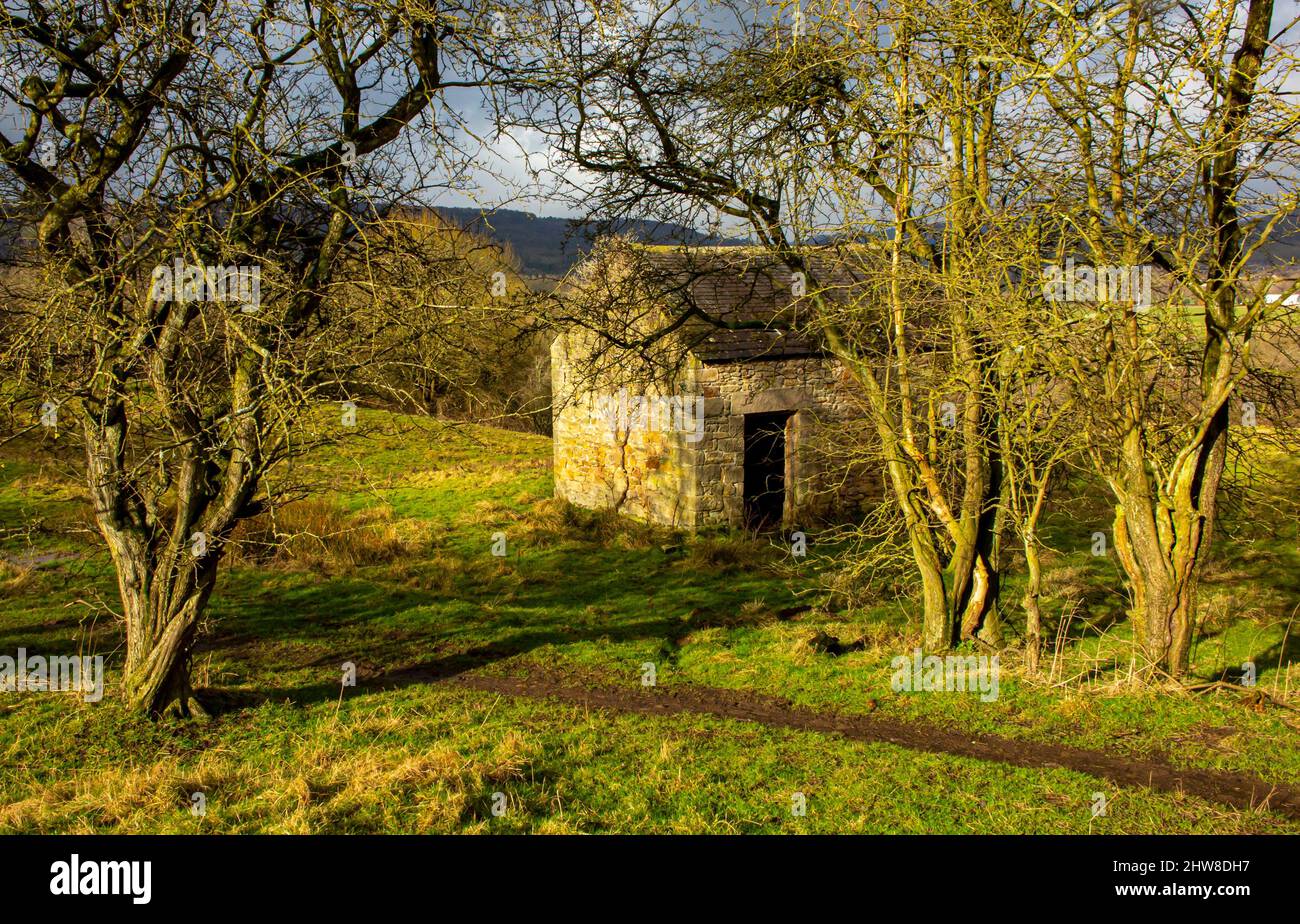 Field barn in typical Peak District landscape at Oaker near Matlock in ...