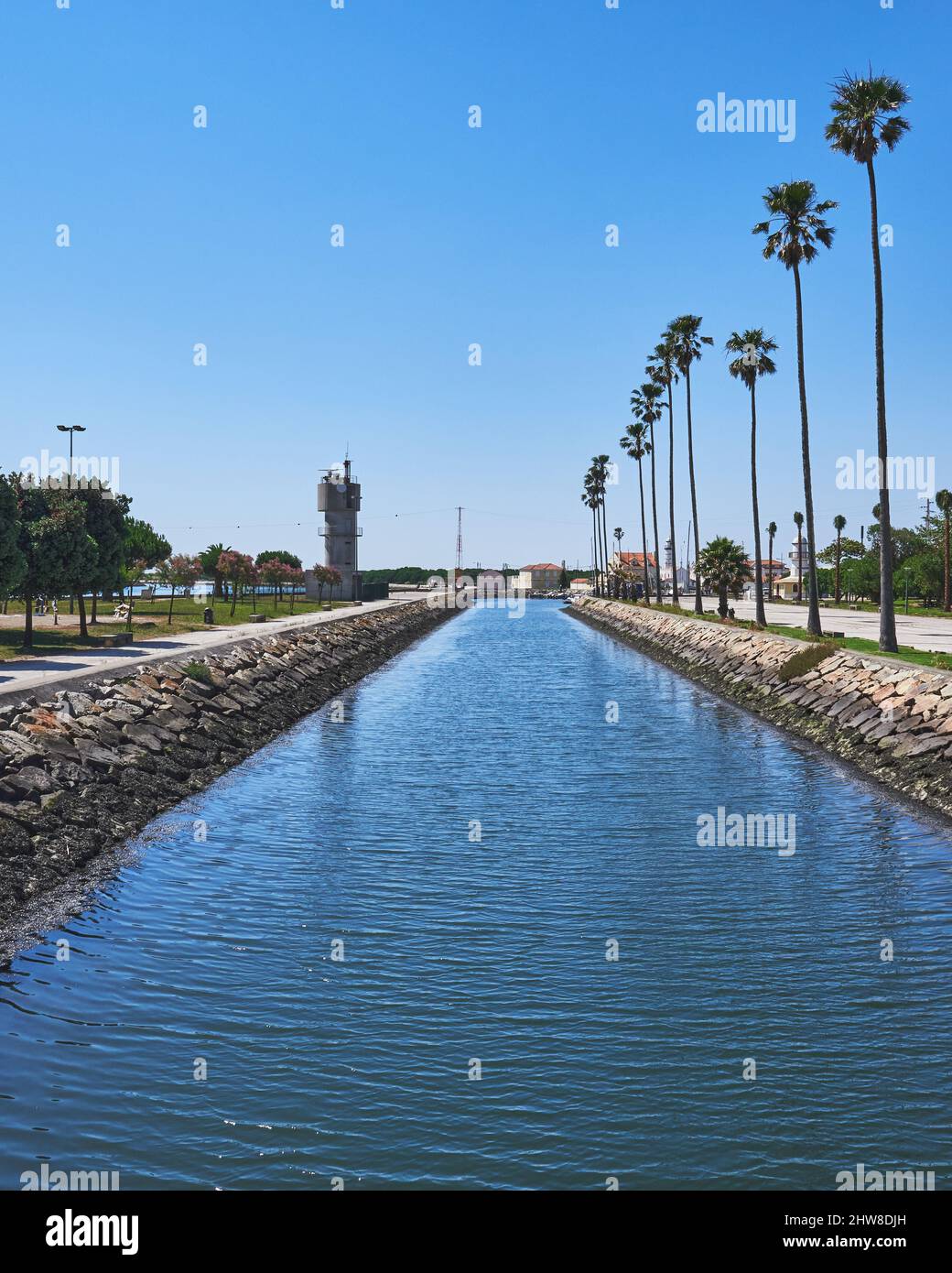 Vertical of palm trees near water channels from Ria de Aveiro at ...
