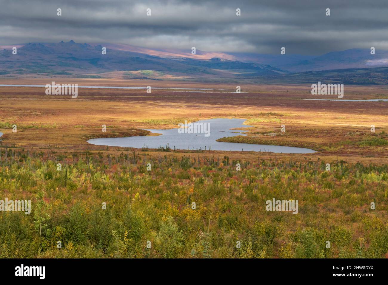 North America; United States; Alaska; Hodzana Hills; Kanuti River Flats ...