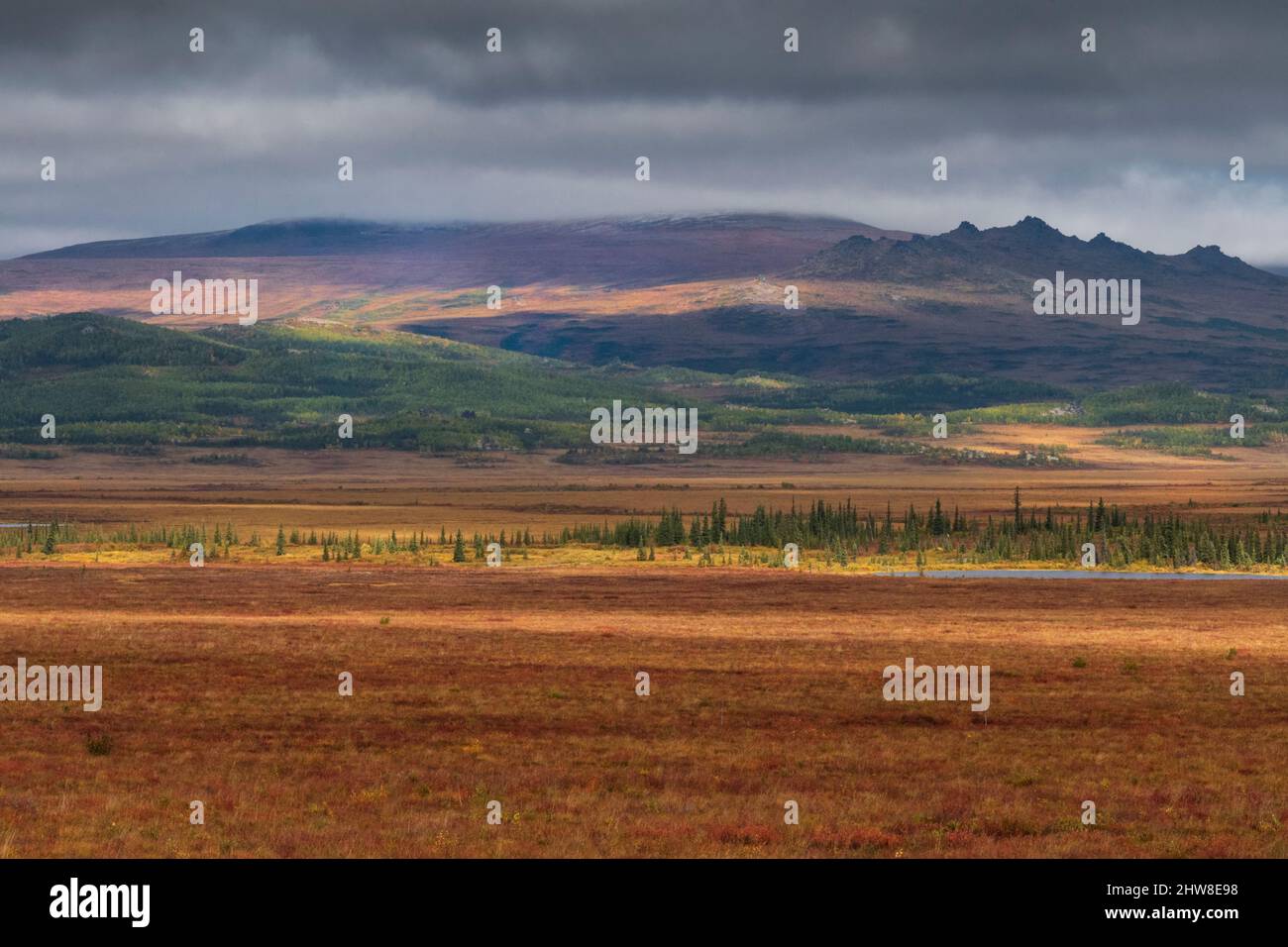 Brooks Range, Arctic, Tundra-Taiga, Alaska Stock Photo - Alamy
