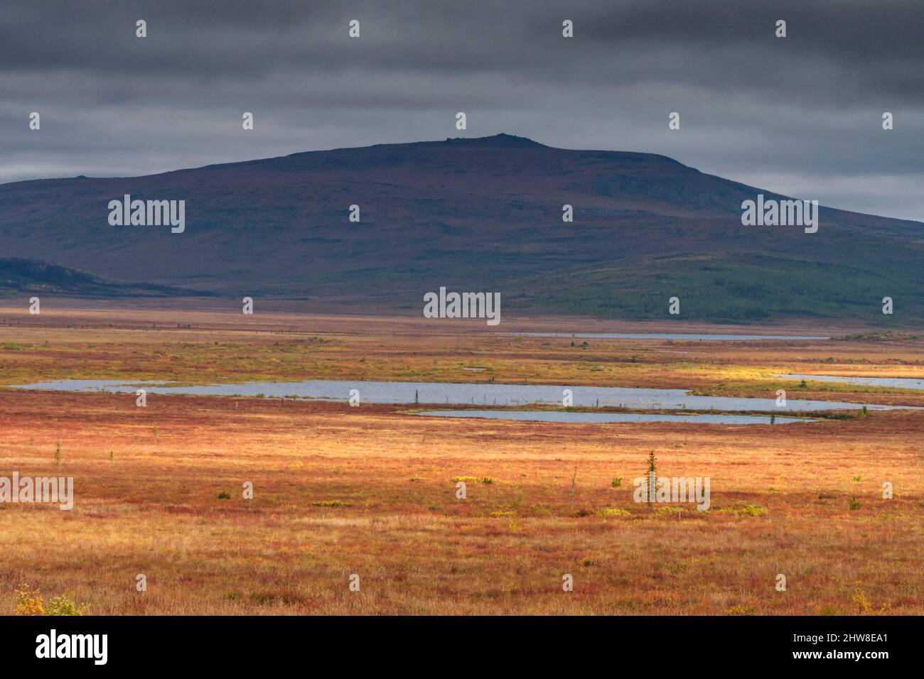 North America; United States; Alaska; Hodzana Hills; Kanuti River Flats ...