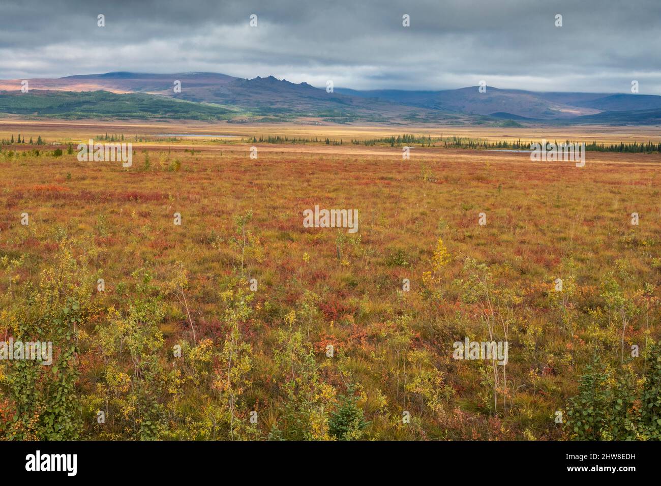 North America; United States; Alaska; Hodzana Hills; Kanuti River ...