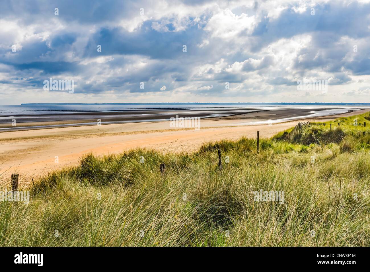 Very Large Utah World War 2 D-day Landing Beach Beach Grass Normandy ...