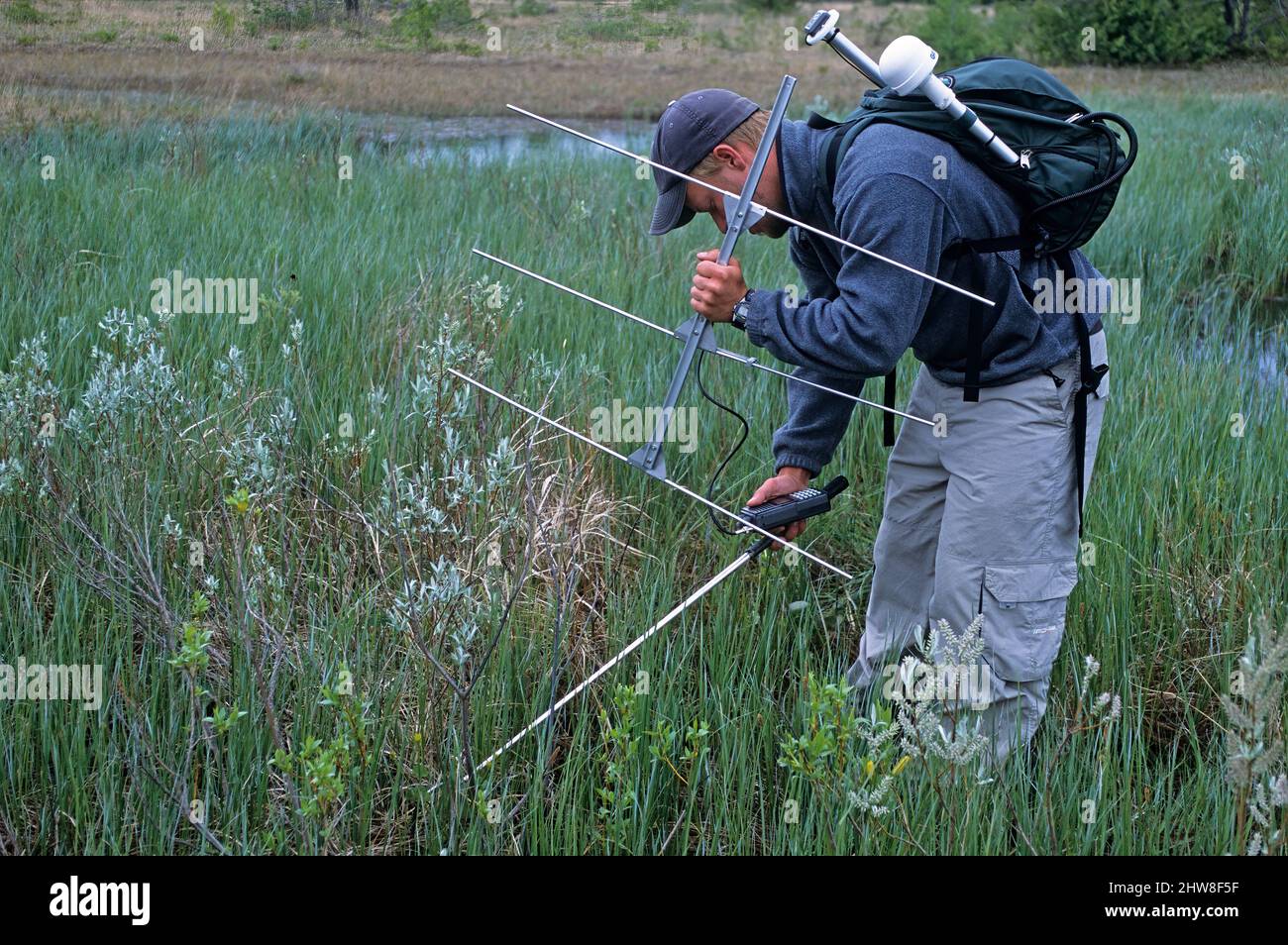 Radio Telemetry Unit