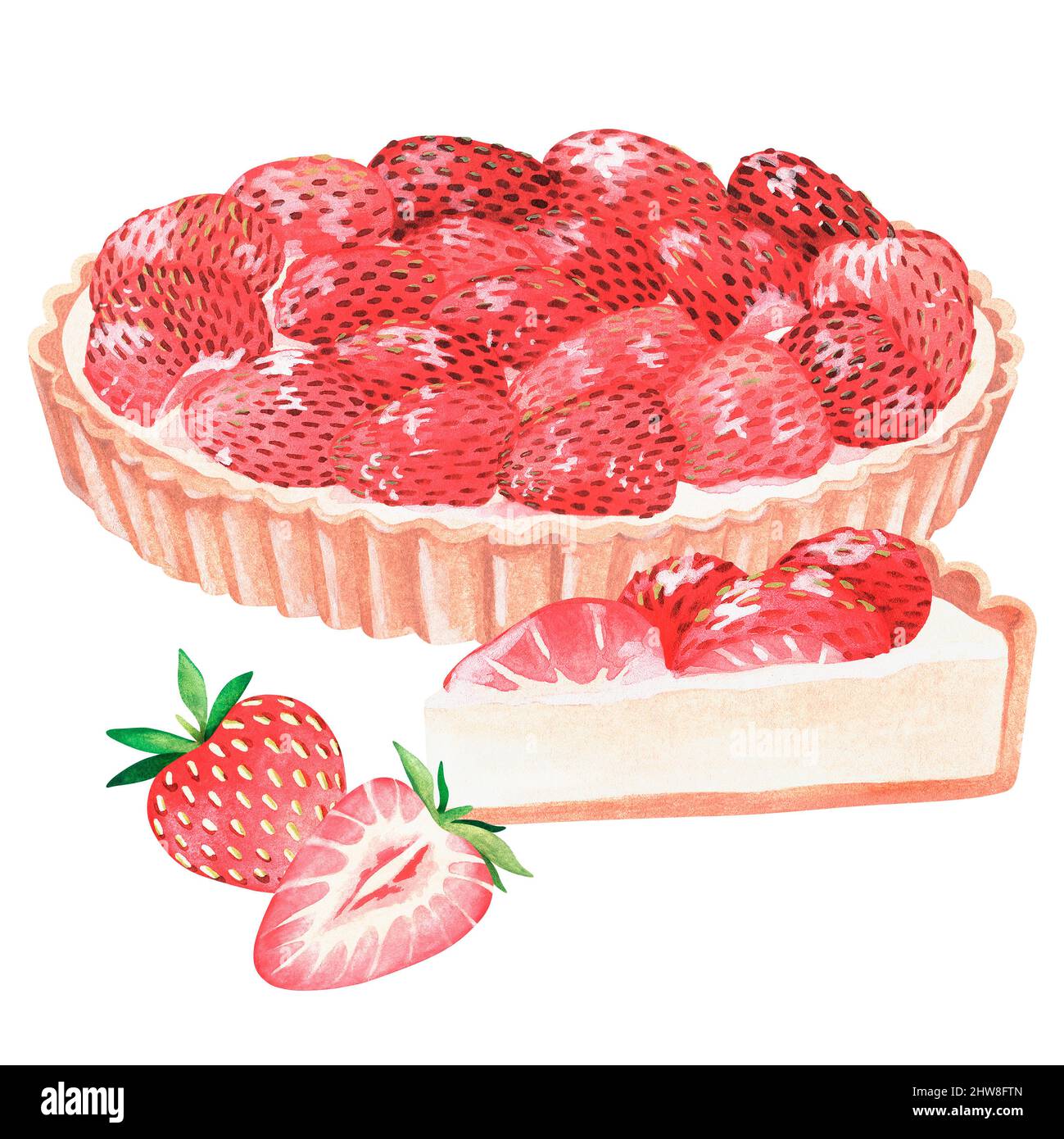 Strawberry pie with slice. Watercolor illustration. Isolated on a white ...