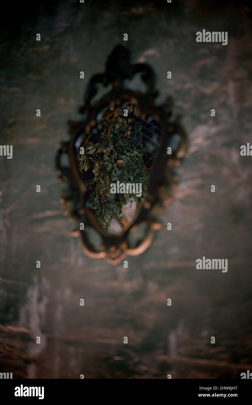 Selective focus of a creepy antique mirror frame with greenery ...