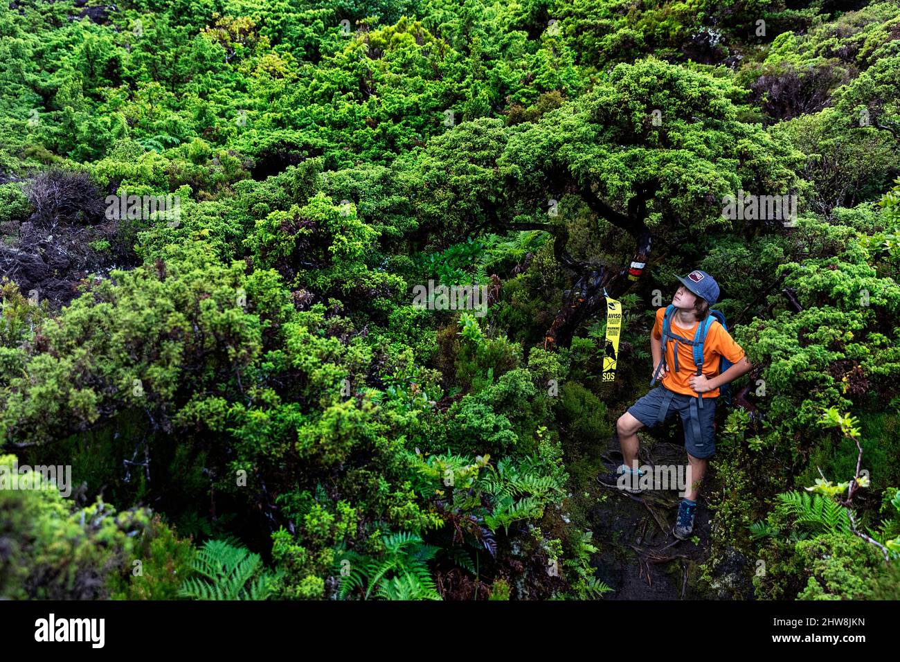 Boy hiking on beautiful forest trail in the "Misterios Negros" in the ...