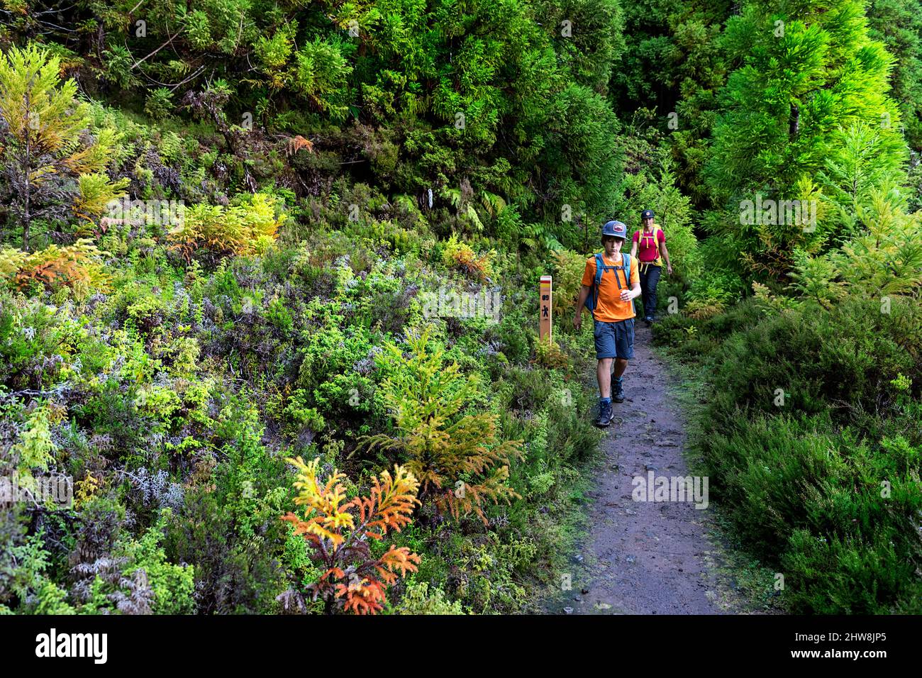 Mother and son hiking on beautiful forest trail in the "Misterios ...