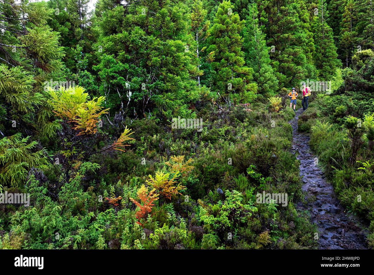 Mother and son hiking on beautiful forest trail in the "Misterios ...
