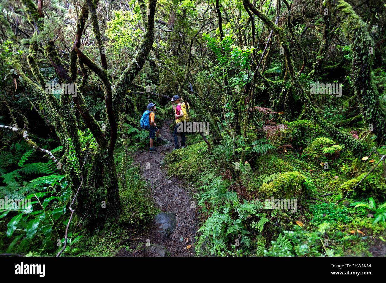 Mother and son hiking on beautiful forest trail in the "Misterios ...