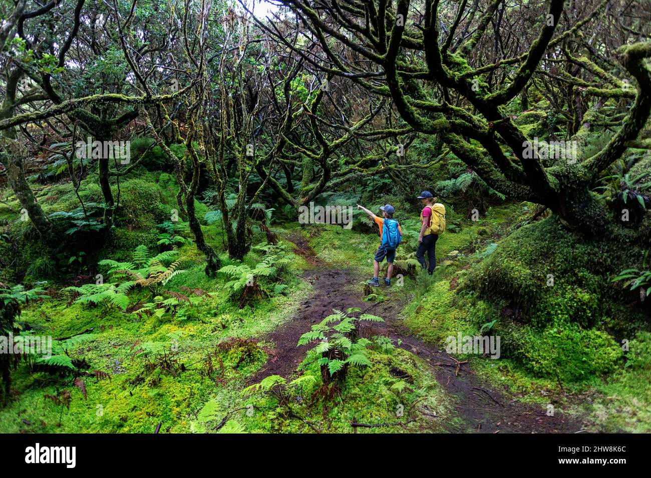 Mother and son hiking on beautiful forest trail in the "Misterios ...