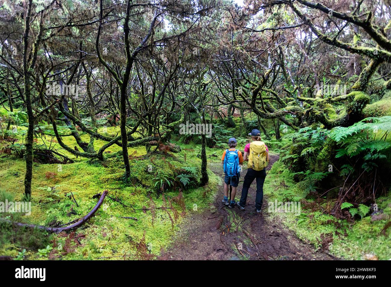 Mother and son hiking on beautiful forest trail in the "Misterios ...